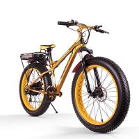 China High Speed Long Range Electric Bikes Touring Fat Rear Rack 17Ah 20Ah 1000w for sale