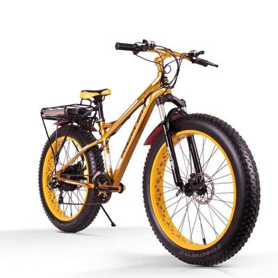 China High Speed Long Range Electric Bikes Touring Fat Rear Rack 17Ah 20Ah 1000w for sale
