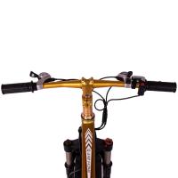 China hardtail mountain e bike fat tire 1000w Rear Carrier Style Lithium Battery 17Ah for sale
