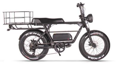 China Fast Long Range Electric Bike Road 20
