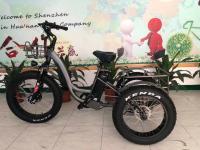 China 3 Wheel Tricycle Cargo Electric Bike Rear Engine Fat Tire Cargo Trike 500w 48v  20