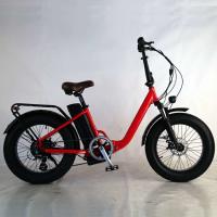China OEM Logo Low Step Cargo EU202 20 Inch Fat Tire Electric Bicycle 48v 500w 13Ah for sale