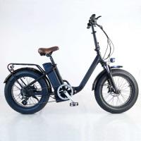 China OEM Logo Low Step Cargo EU202 20 Inch Fat Tire Electric Bicycle 48v 500w 13Ah for sale