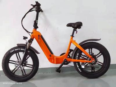 China OEM Logo Low Step Cargo EU202 20 Inch Fat Tire Electric Bicycle 48v 500w 13Ah for sale
