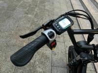 China Richbit H200 Fat Electric Scooter Cycle 1000w 48v 16ah 20x3.0 Inch for sale