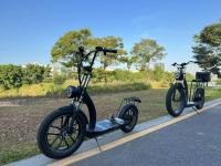 China Richbit H200 Fat Electric Scooter Cycle 1000w 48v 16ah 20x3.0 Inch for sale