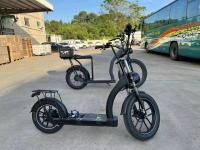China Richbit H300 Fat Electric Scooter Cycle High Speed 50km/H 1000w 48v 16ah 26x4.0 Inch for sale