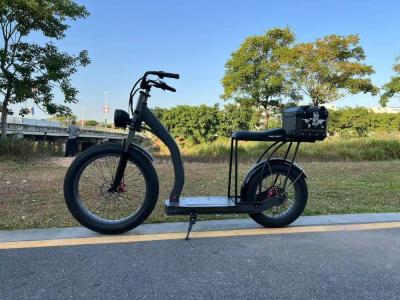 China Richbit H300 Fat Electric Scooter Cycle High Speed 50km/H 1000w 48v 16ah 26x4.0 Inch for sale