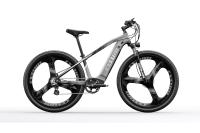 China 29 Electric Mountain Bikes Bicycle Cysum Ebike One Integrated Wheel 48v 500w 10ah for sale