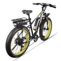 China Mens Mountain Electric Bikes Lightweight Fat 48V 1000w 17AH 26