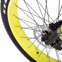 China Mens Mountain Electric Bikes Lightweight Fat 48V 1000w 17AH 26