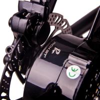 China Cycle E Bike Bicycle Folding Electric Bike Electric Mountain Ebike Richbit Top 880 26