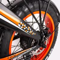 China 500W 20 Inch Fat Tire Ebike Foldable For Adults RICH BIT TOP-016 for sale