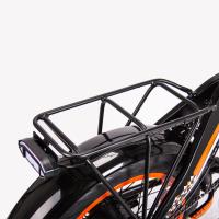 China 500W 20 Inch Fat Tire Ebike Foldable For Adults RICH BIT TOP-016 for sale