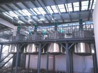China Custom Stainless Steel Paint Mixing Vessels 304 316 316L for Industrial Production Lines with Flexible Installation Options for sale