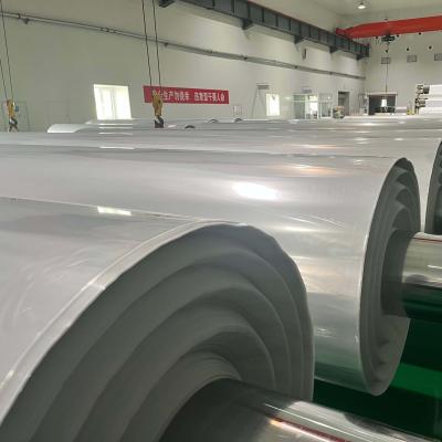 China Clear And Flexible PETG Shrink Film With Stable Processing And High Shrinkage Rate For Professional Packaging Solutions for sale