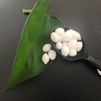 China Globular Water Softener Salt 5mm 7mm 9mm 12mm High Purity 99.6% NaCl for Water Purification for sale