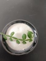 China 99% High Purity Sodium Carbonate Soda Ash Light CAS 497-19-8 99.6% Purity for sale