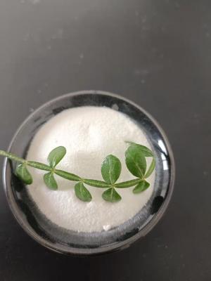 China 99% High Purity Sodium Carbonate Soda Ash Light CAS 497-19-8 99.6% Purity for sale