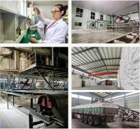 China High Purity Magnesium Carbonate MgCO3 Powder 40-43% MgO for Industrial Applications for sale