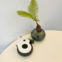 China 5-Inch White Medical Casters Band Brake PP And TPR Material for sale