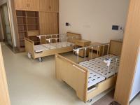 China Hospital Aluminum alloy guardrail wood  material two function manual bed for sale