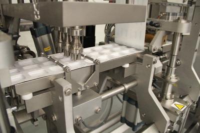 China 220V 380V Thermoform Fill Seal Machine , Multifunctional Thermo Forming Machine for sale