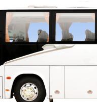 China 11120x2550x3505 mm Luxury Coach Bus Seat 46-50 Seater Used Buses with 4-6L Engine Capacity for sale