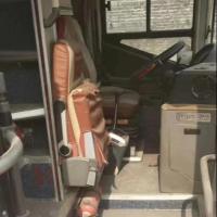 China LHD Luxury Passenger Bus 57 Seats Rear Engine Place Luxury Design for sale