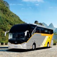 China 55 Seater Used Luxury Tour Bus with Euro 3 Emission Standard and 2340 Front Suspension for sale