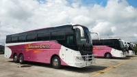 China 55 Seater LHD Drive Type Luxury Coaches for City Buses Best Choice for sale