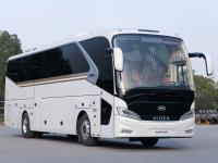 China Public Bus Style 53 Seats 12m Color Design Luxury Coach Bus with Deisel Fuel for sale