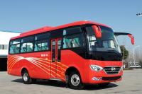 China Luxury 25-30 Seats Tourist CNG Coach Bus with Manual Transmission and Diesel Fuel for sale