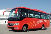 China Luxury 25-30 Seats Tourist CNG Coach Bus with Manual Transmission and Diesel Fuel for sale