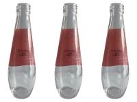 China Two Color Automatic Servo Vertical Screen Printing Machine For Glass Bottles for sale