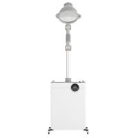China Energy Saving 40W Moxibustion Machine With Fume Purifier for sale