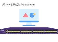 China NetInsight™ Visibility Network Traffic Management Optimize your Network Stronger for sale