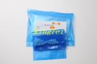China FUJI 2MGTHA054200 NXT H24 H24G H24S Work Head Filter Cotton Plug for sale