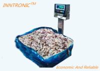 China WF-BS 600kg 304 Stainless Steel IP68 Waterproof Platform Weighing Scale Brushed Finishing for sale