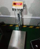 China 50kg 1g RS485 Counting Scale Stainless Steel IP68 Platform Bench Scale 300x400mm for sale