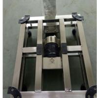 China 304 Stainless Steel Platform Scale BWS-3040 60kg 5g IP67 Waterproof Bench Scale AC 220V for sale