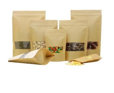 China Biodegradable Kraft Stand Up Ziplock Bags Custom Size 9 Color Printing for Underwear Packaging for sale