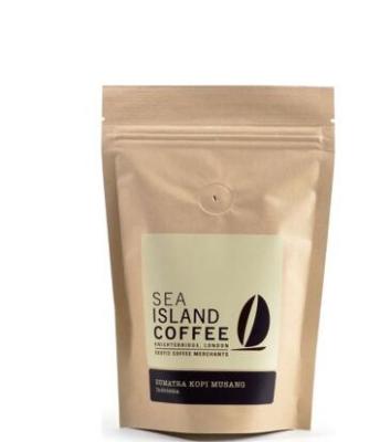 China Food Grade Resealable Zipper Kraft Paper Packaging Bags Custom Size 9 Colors Printing for sale