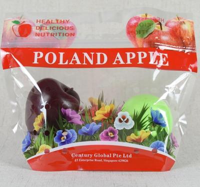 China Standing Up Customized Colorful Zip-lock PET Laminated Packaging Bags for fruit and Vegetables Packing for sale
