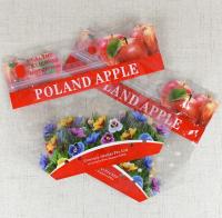 China Customized Colorful Zip Lock PET Laminated Stand Up Pouches for Fruit Vegetable Packing 10 Colors for sale