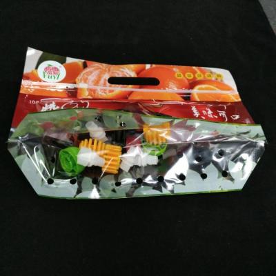 China High quality Custom printed grape packaging plastic PP k bag with hole punch for sale