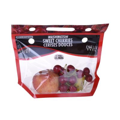 China Custom Printed OPP Zipper Food Grade Plastic Bags for Fruit Vegetables with Holes Hanger 10 Colors for sale