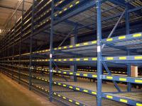 China Heavy Duty Carton Flow Rack System With 100-1000 Kgs Capacity Per Bed for sale