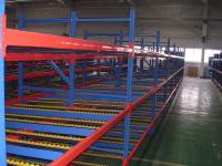China Customized Carton Flow Rack System 100-1000Kgs Per Bed For Warehouse Storage for sale