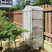China NATURE Pressure Treated Wood 4Tier Garden Greenhouse PE Cover Roll-Up Zipper Door Portable Waterproof Cloth Tent Grow Seeds for sale